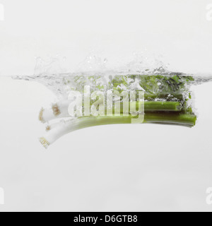 Spring Onions splashing into water Stock Photo - Alamy
