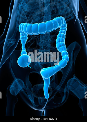 Colonic spasm, artwork Stock Photo - Alamy