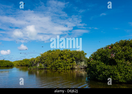 Caribbean, Leeward Islands, Barbuda, Codrington Lagoon, View of boat ...