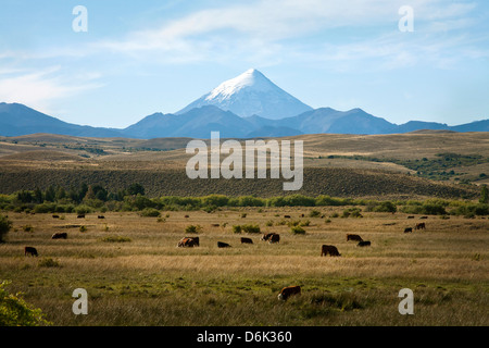 Lanin volcano , Lanin National Park , Patagonia , Argentina Stock Photo ...