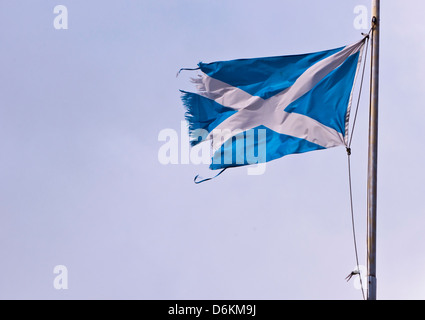 Flag torn ripped Saint Andrews Cross flag Saltire national flag of ...