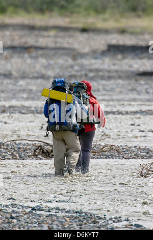Two backpackers carefully fiord the Toklat River, Denali National Park ...