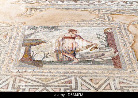 Cyprus, Kouklia - "Leda and the Swan" mosaic at the sanctuary of the ...