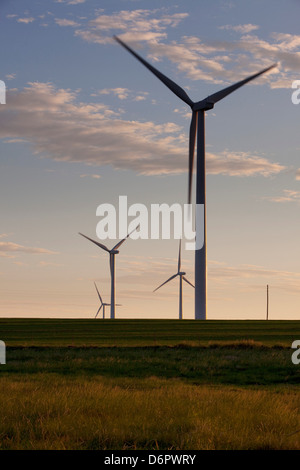 USA, Texas, Wind turbines at sunrise Stock Photo - Alamy