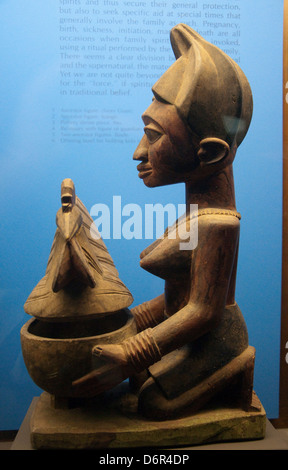 American Museum of Natural History Hall of Primates The Hall of ...