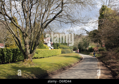Abinger Road - country lane at Coldharbour near Leith Hill Dorking ...
