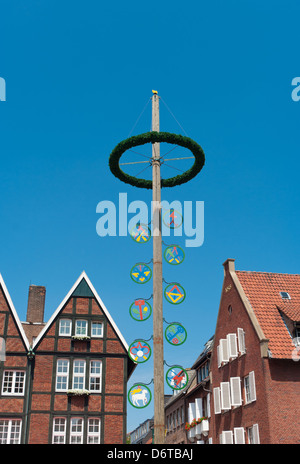 Traditional Bavarian maypole (Maibaum). Village Sachrang in the ...
