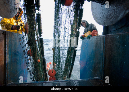Fishermen hauling back dragger net on fishing trawler. Stellwagen Banks ...