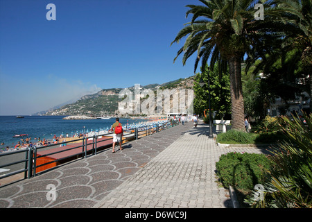 Italy, Neapolitan Riviera, Maiori, Palm trees and map of island region ...