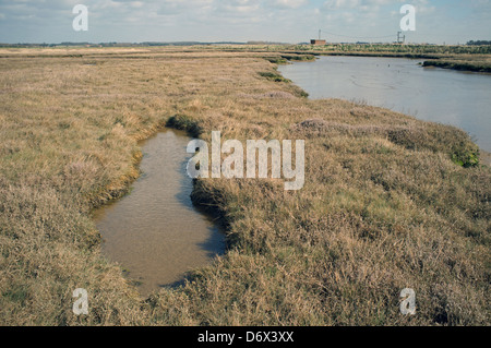 Salt marshes beside the river Deben, Bawdsey Ferry, Suffolk, UK Stock ...