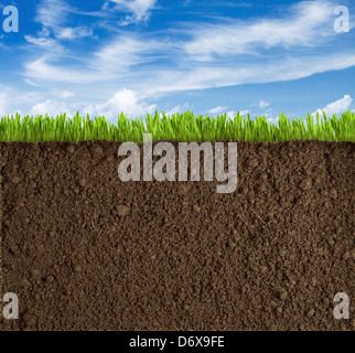 clod of earth with grass Stock Photo - Alamy