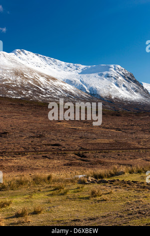 A view over Achnashellach Forest in Glen Carron towards Glencarron and ...