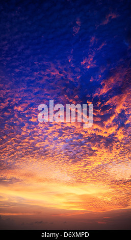 Dramatic magenta sunset sky panorama with Cumulus clouds. Seamless hdr ...