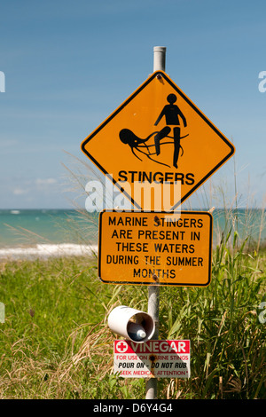 Warning sign for marine stingers such as box jellyfish on the idyllic ...