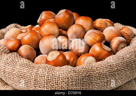 Filberts in bag Stock Photo - Alamy