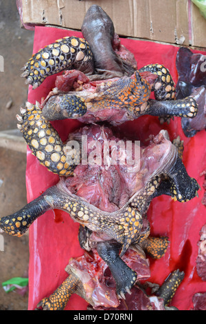 Turtle meat for sale at Belen market in Iquitos, Amazon, Peru Stock ...
