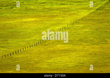 Canada, Alberta, Elevated view of fence posts and pasture Stock Photo ...