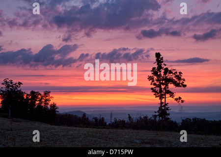 USA, Arkansas, Colorful sunrise sequence from hill, with silhouetted ...