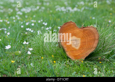 Cut Tree trunk heart shape. Tree rings Stock Photo - Alamy