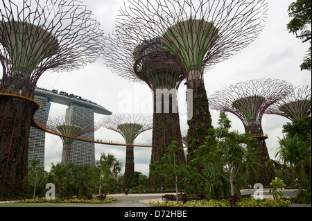 Solar Trees in the Gardens by the bay in Singapore. The Solar trees in ...