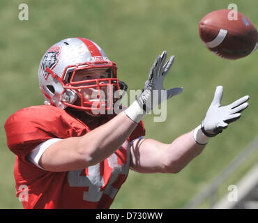 April 27, 2013 - Albuquerque, NEW MEXICO, U.S. - Greg Sorber -- Lobo ...