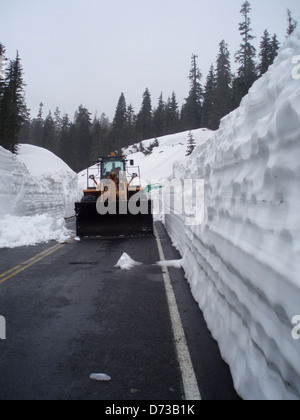 Sign installation on Cayuse Pass Highway 123 in Mount Rainier National ...