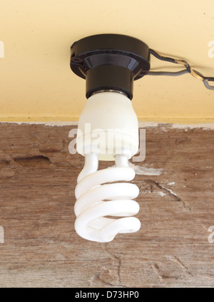 A lamp bulb and a fluorescent tungsten spiral showing the presence of ...