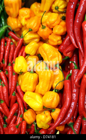Various types of peppers, Germany Stock Photo - Alamy