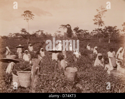 Photographic Process Workers Stock Photo - Alamy