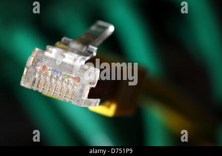 ILLUSTRATION - An illustrated picture shows a network cable lying in ...