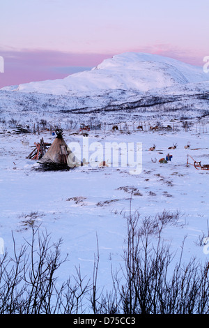 Sami camp in Norway Stock Photo - Alamy