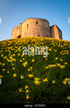 Clifford's Tower York Castle Stock Photo - Alamy
