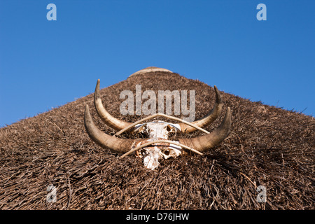 Xhosa hut in the Eastern Cape Province of South Africa Stock Photo - Alamy
