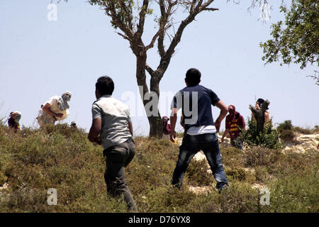 Palestinian villagers clash with Israeli settlers in the West Bank ...