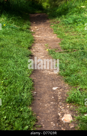 Footpath through a lawn Stock Photo - Alamy