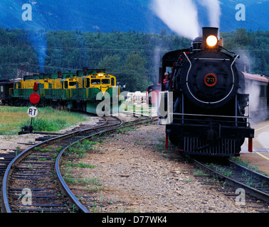 Historic steam locomotive number 73 Diesel engine number 109 in narrow ...