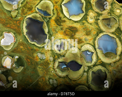Cross-section spherulitic rhyolite or rainforest jasper Mount Hay in ...