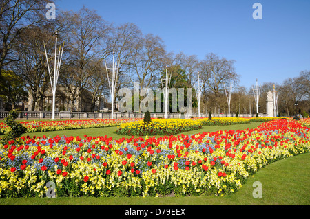 Red tulips near Buckingham Palace in London. Spring flowers Stock Photo ...