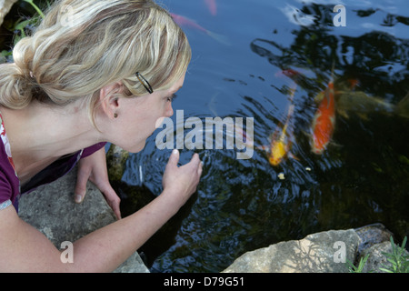 Woman feed koi fish. Beautiful koi fish swimming in the pond Stock ...