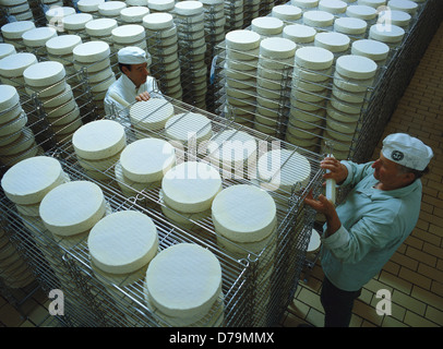 Cheese matured in fully air-conditioned maturing rooms several weeks ...