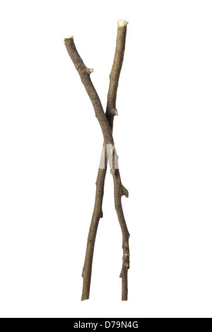 Vertical shot of dried twigs and branches, wood texture background ...