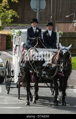 Horse-drawn carriage pulled by white horses during the parade at ...