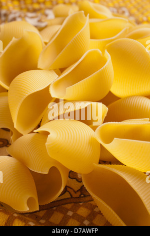 Dry Pasta Shells Stock Photo - Alamy