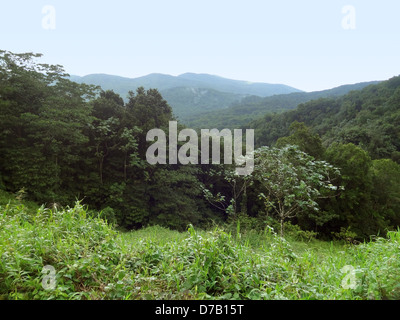 rural scenery seen on a caribbean island named Guadeloupe Stock Photo ...