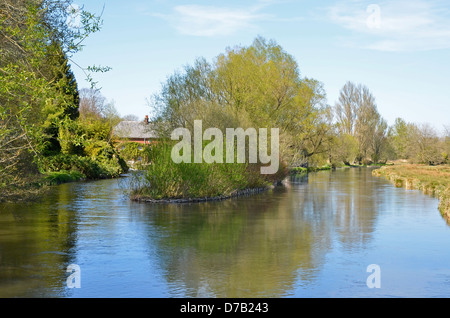 River Itchen water meadows looking south at Hockley, south of ...