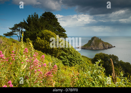 Thatcher Rock. Torquay Stock Photo - Alamy
