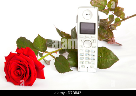 red roses with telephone isolated on white Stock Photo - Alamy