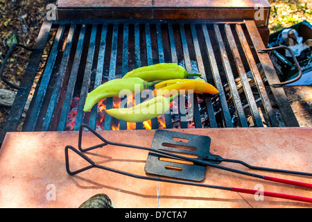 Cooking Xcatik peppers on a wood fired oven Stock Photo - Alamy