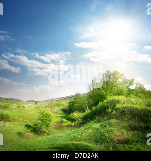 Green trees in the sun Stock Photo - Alamy