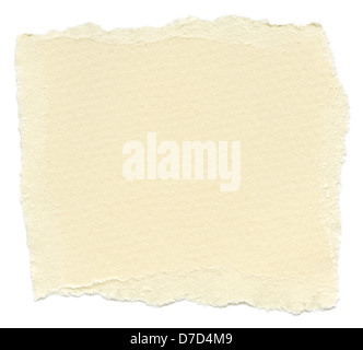 Texture vanilla yellow fiber paper torn edges. Isolated on white ...